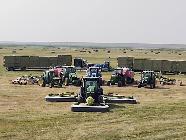 Custom haying baling raking stacking - Nex-Tech Classifieds