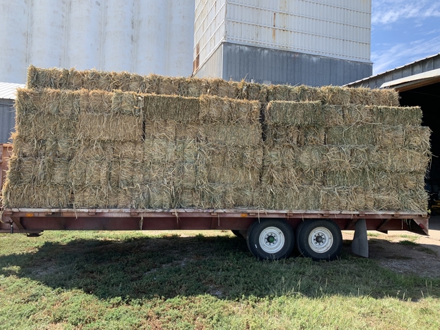 feed bales - Nex-Tech Classifieds