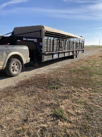 Gooseneck livestock trailer 36x7.5 - Nex-Tech Classifieds