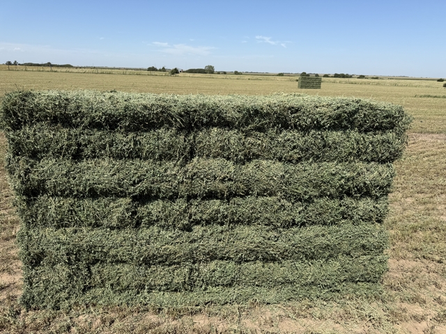 3rd cutting small square 21 bale bundles - Nex-Tech Classifieds
