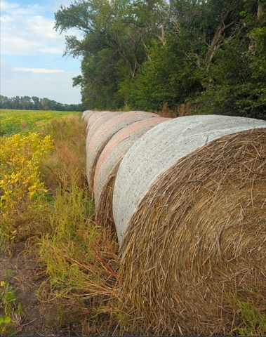 Oat hay - Nex-Tech Classifieds