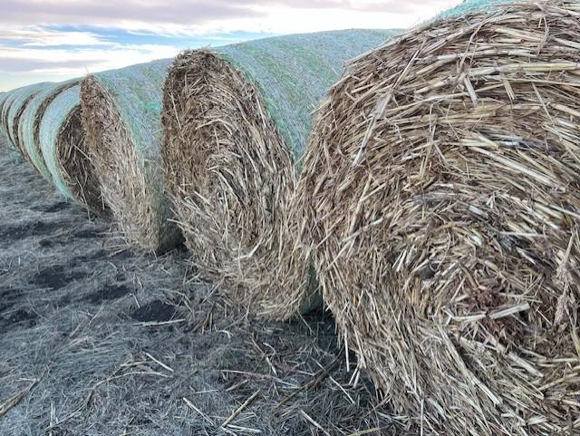 Bales - Nex-Tech Classifieds