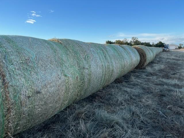 Bales - Nex-Tech Classifieds