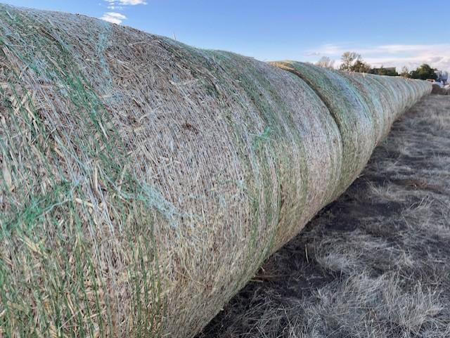 Bales - Nex-Tech Classifieds