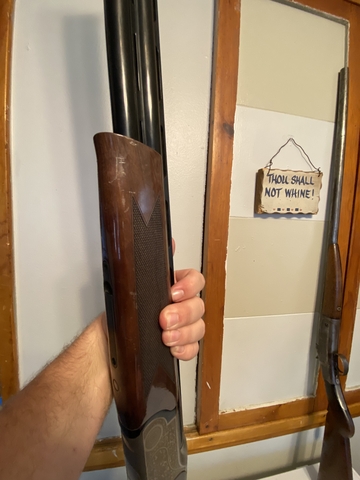 Tristar 12 gauge - Nex-Tech Classifieds