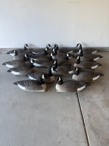 Floater Canada goose decoys - Nex-Tech Classifieds