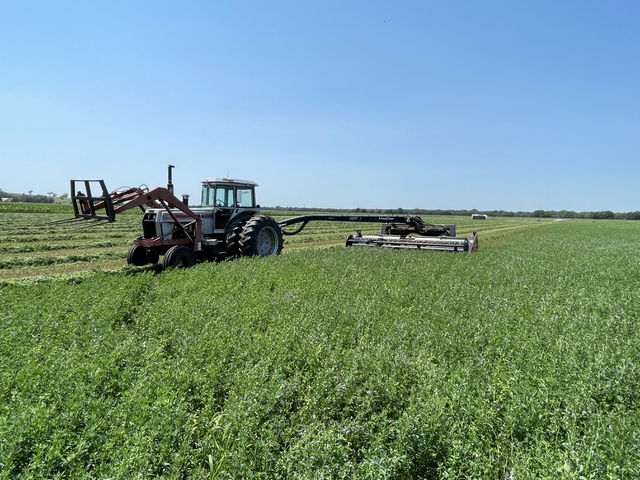 Custom haying - Nex-Tech Classifieds