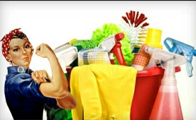 Cleaning services - Nex-Tech Classifieds