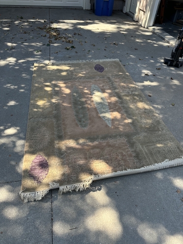 Area Rug - Nex-Tech Classifieds