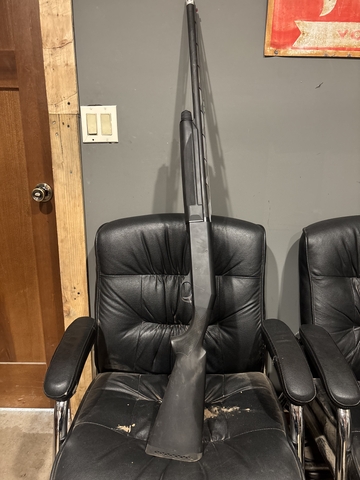 Stoeger m2000 12gauge - Nex-Tech Classifieds
