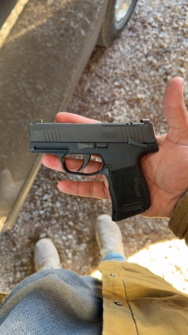 Sig p365 - Nex-Tech Classifieds