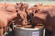 Mix 30 Liquid Feed - Nex-Tech Classifieds