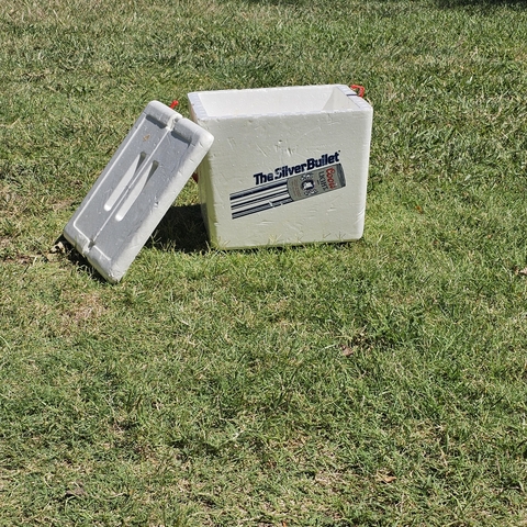 Coors Light Styrofoam Cooler - Nex-Tech Classifieds
