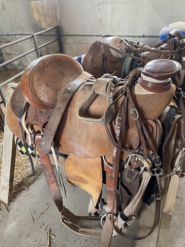 Horse Items - Nex-Tech Classifieds