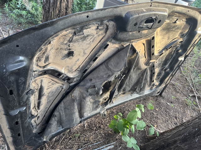 Cateye hood - Nex-Tech Classifieds