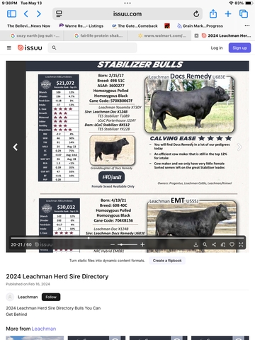 Angus Bulls - Nex-Tech Classifieds