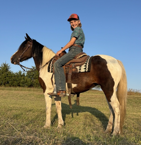 🐈‍⬛KopyKat🐈 - Nex-Tech Classifieds