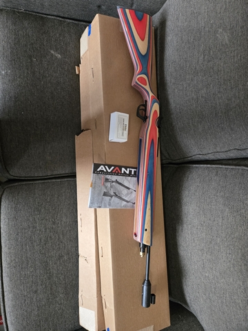 Daisy 888 pellet rifle - Nex-Tech Classifieds