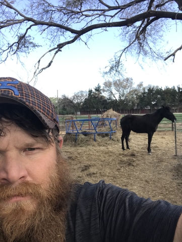 black blm mustang - Nex-Tech Classifieds