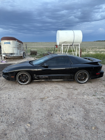 99 Pontiac trans am 6 speed - Nex-Tech Classifieds