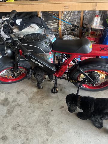 Ariel rider grizzly w upgrades - Nex-Tech Classifieds