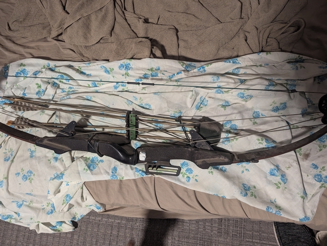 Bear Shur Hit Bow - Nex-Tech Classifieds