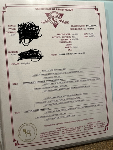 100% Abga buck - Nex-Tech Classifieds