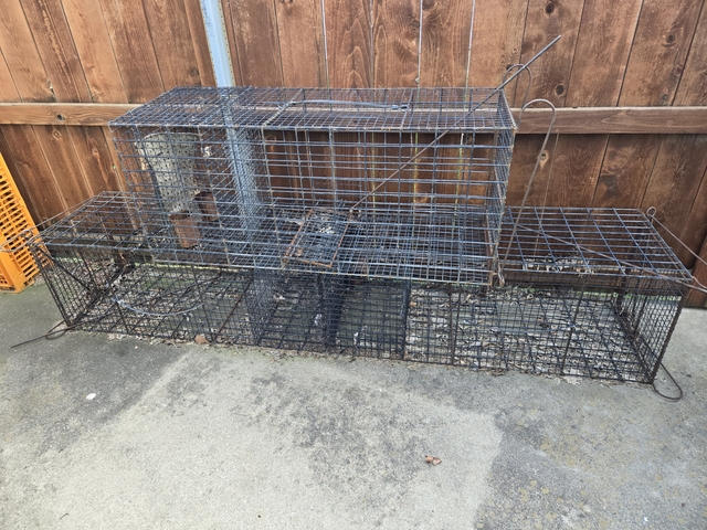 Large Live Traps - Nex-Tech Classifieds