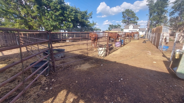 2 story farm house with 1.5 acres in Pfeifer Ks - Nex-Tech Classifieds