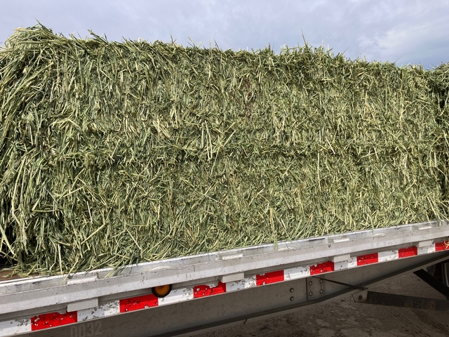 2025 New Crop Goliath Oat Hay - Nex-Tech Classifieds