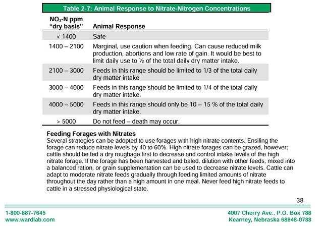 2025 New Crop Goliath Oat Hay - Nex-Tech Classifieds