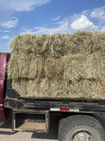 Prairie hay small square bales - Nex-Tech Classifieds