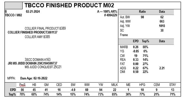 18 mo Registered Red Angus Bull - Nex-Tech Classifieds